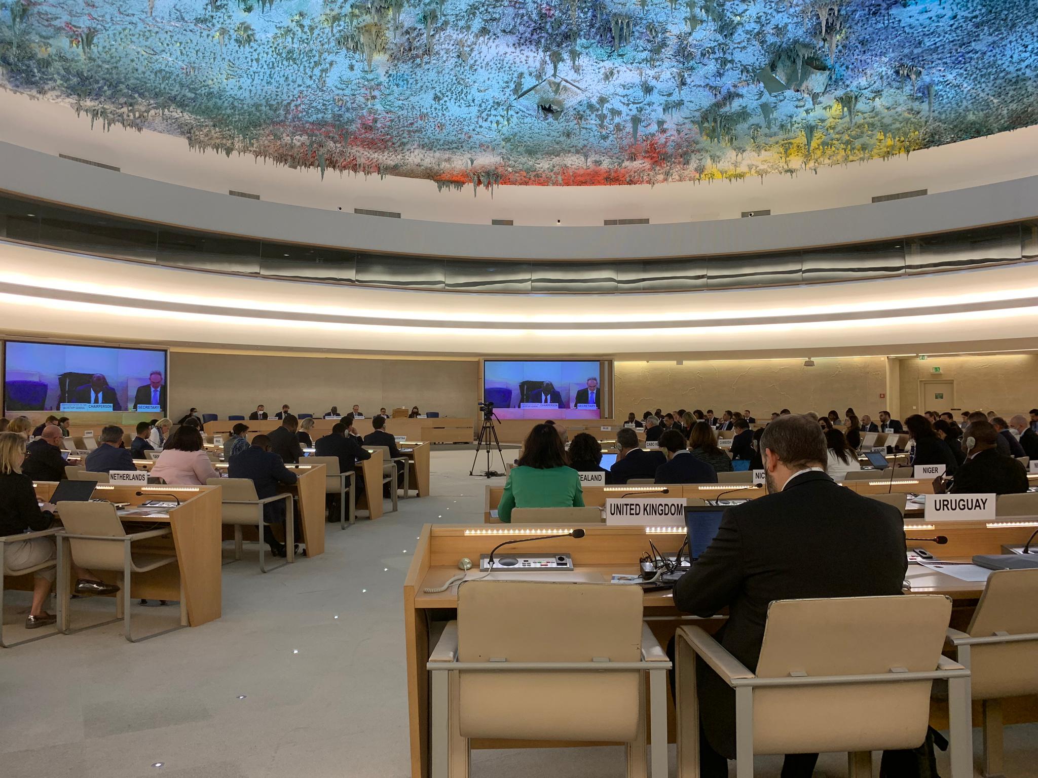 New Members Elected To Un Torture Prevention Body Apt